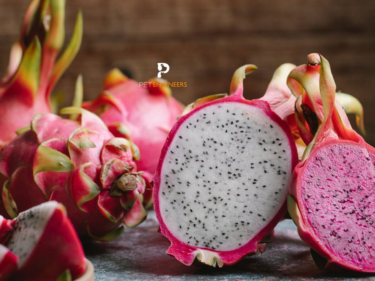 Can Dogs Eat Dragon Fruit