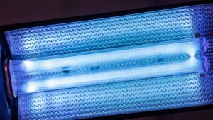Crested Gecko Lighting Guide 101: Do Crested Geckos Need Light 2026 ...