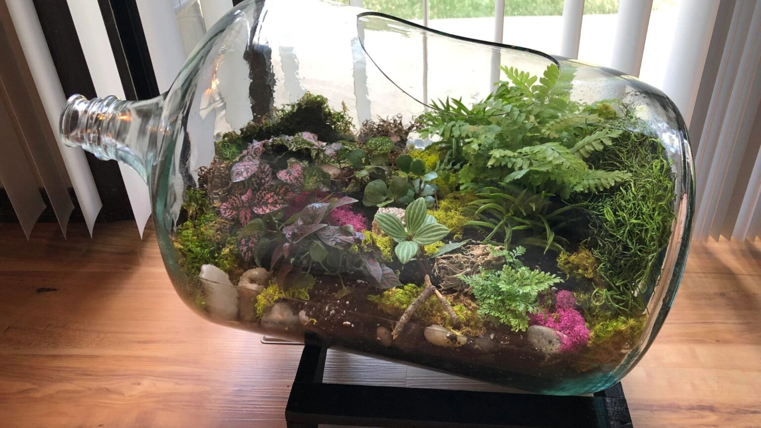 Crested Gecko Tank Size & Enclosure Guide 101: How To Choose The Right ...